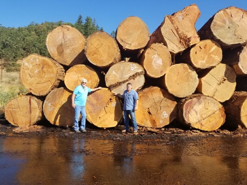 GALLERY – Western Lumber